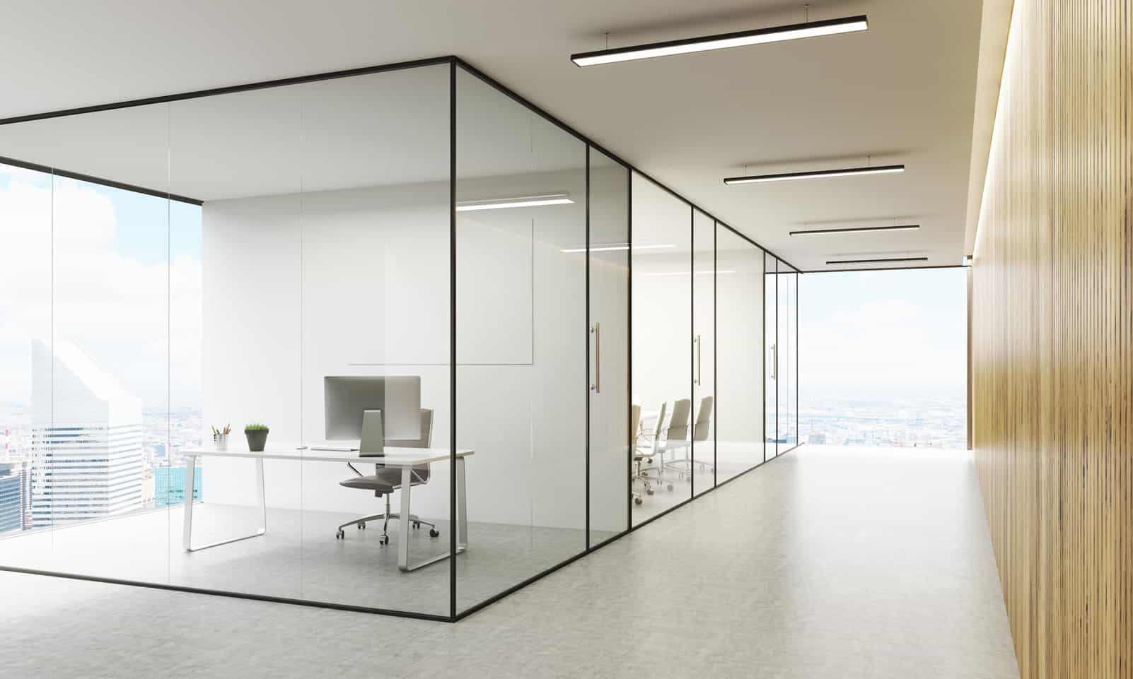 Frameless Glass Partitioning | Elephant Glass